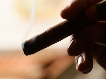 Cigar Wrapper Types: The Ultimate Beginner's Guide - Valera Lopez Cigars